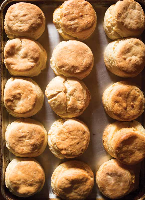 Recipe | OP Sweet Cream Biscuits – Olympia Provisions